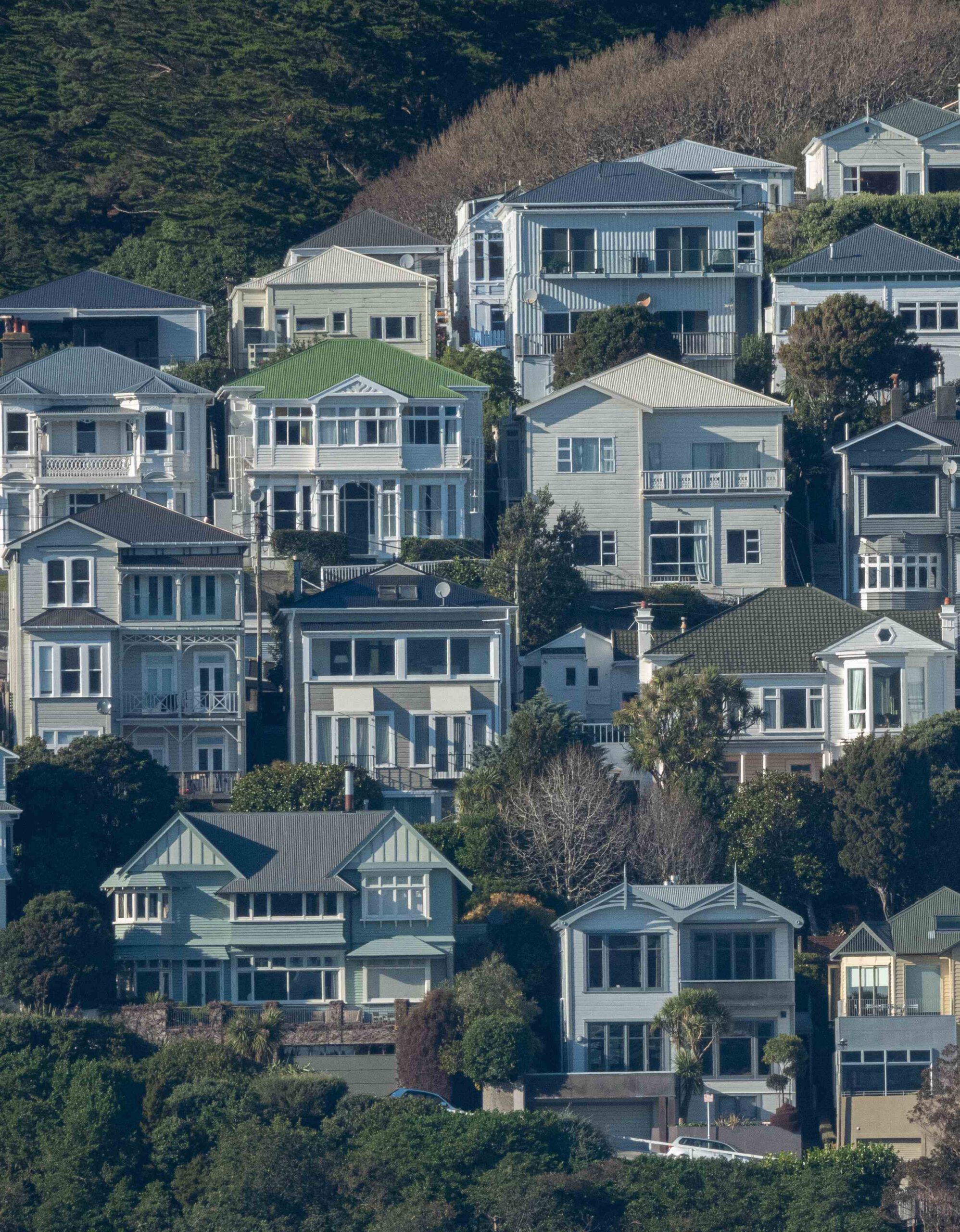 Management Consulting, Wellington NZ | Nebty Consulting